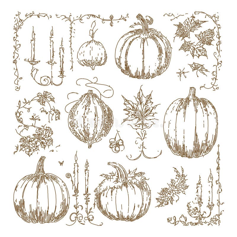 Victorian Autumn Pumpkins and Botanical Elements Drawing Stock Vector ...