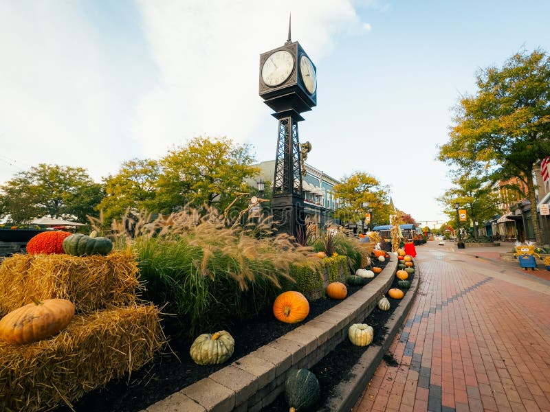Victorian Clock at Fall Time Stock Image - Image of victorian, city ...
