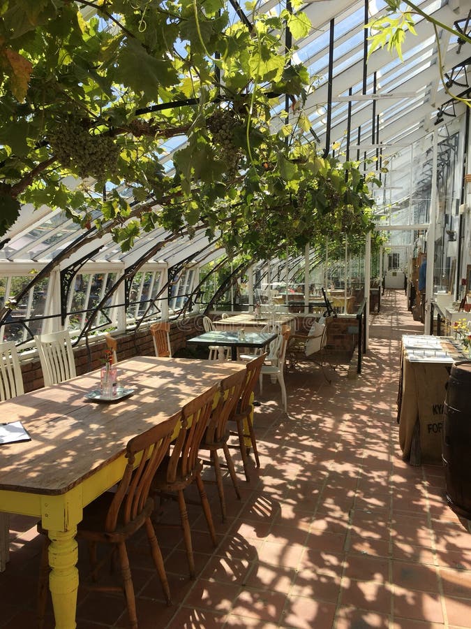 147 Conservatory Cafe Stock Photos - Free & Royalty-Free Stock Photos ...