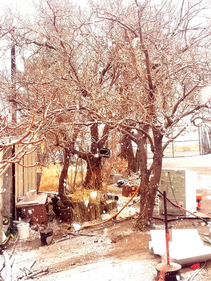 Victorville Snow Ice Cold White Stock Photo - Image of victorville ...