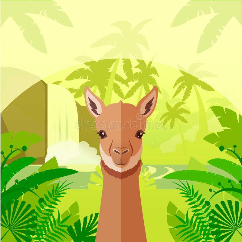 Vicuna Jungle Background Stock Illustrations – 10 Vicuna Jungle ...
