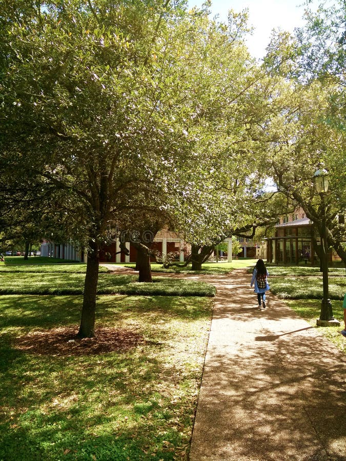 Universidad De Rice Houston, Tx Foto de archivo editorial - Imagen de ...
