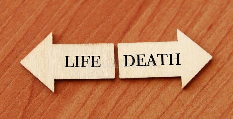 Vida e morte. foto de stock. Imagem de importância, escolha - 189948198
