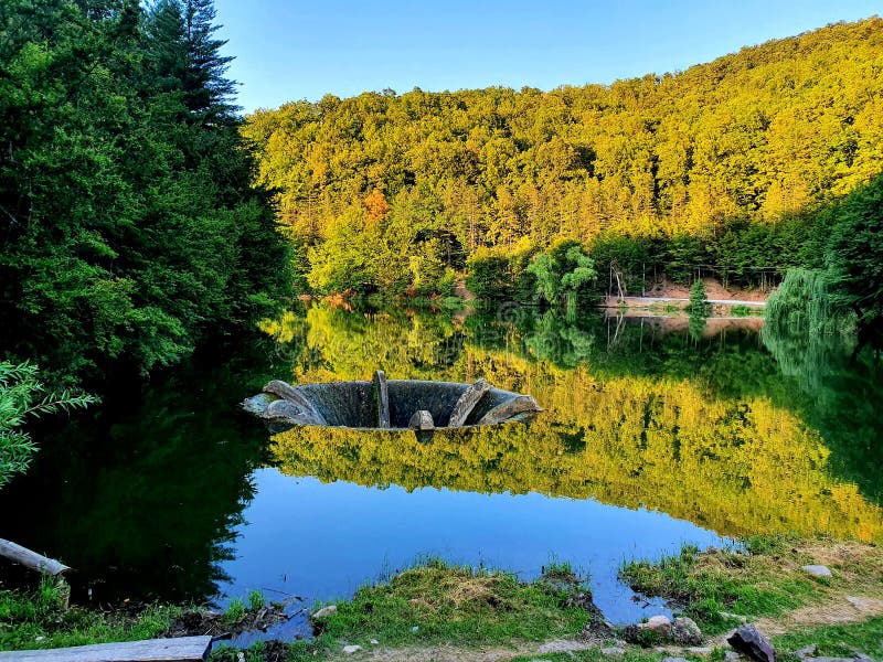 Vida Lake stock photo. Image of green, nature, exposure - 76229050