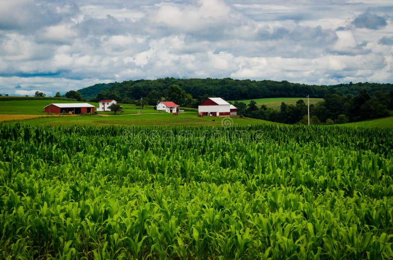 A vida rural imagem de stock. Imagem de pensilvânia, milho - 46606989