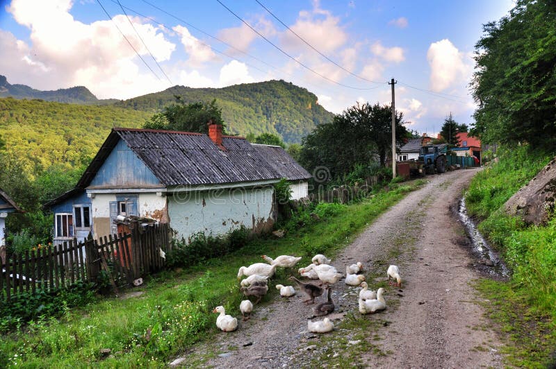 Vida rural imagen de archivo. Imagen de granja, granero - 56935495
