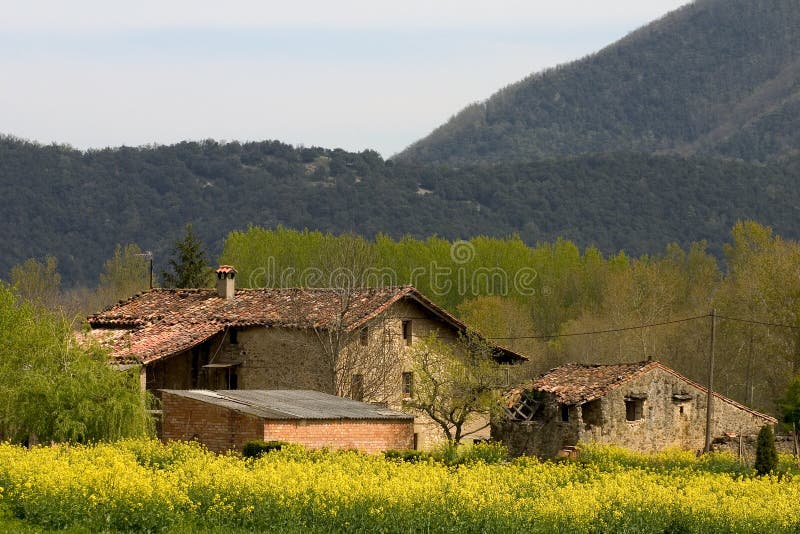 Vida rural foto de archivo. Imagen de granja, verdoso, azul - 694704