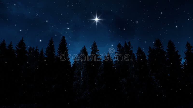 Dark Winter Night Background Loop Stock Footage - Video of landscape ...