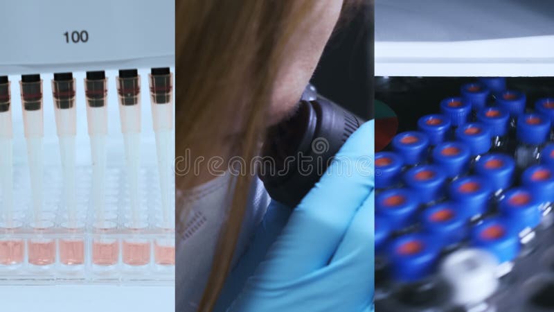Video Collage from Biochemical Analysis Laboratory, Using Micro Plate, Microscope and HPLC ...