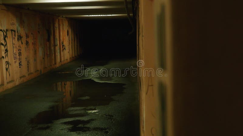 Video. Empty Deserted Underpass with Painted Walls Stock Video - Video ...