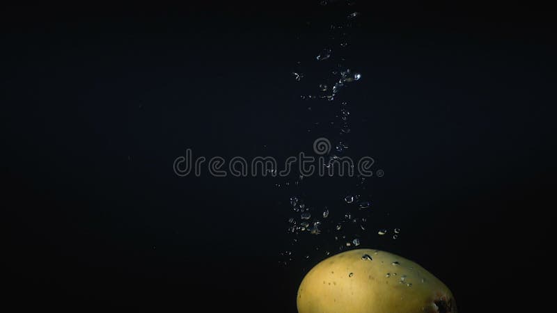 Video of Falling Vietnamese Mango in the Water on Black Background ...