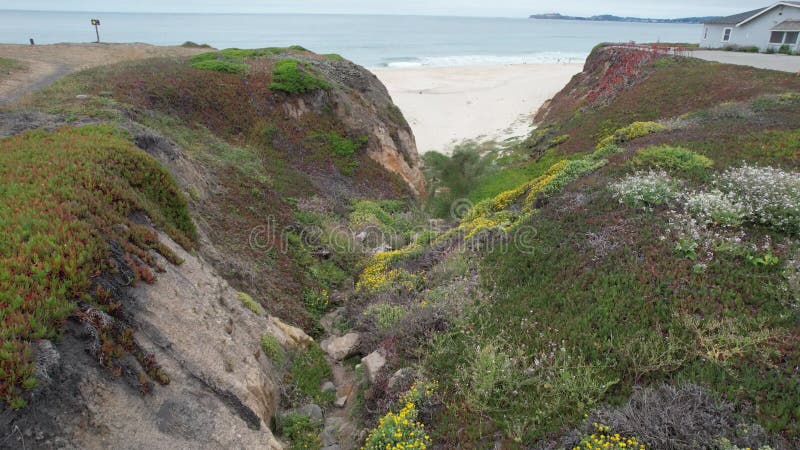 Flying Over Cliffs Near a Beach Stock Video - Video of california, rock ...