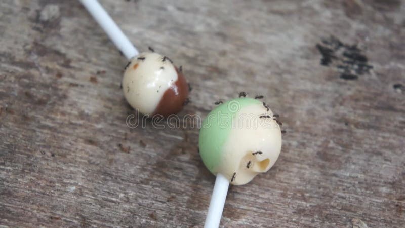 Video of a Lollipop Falling Onto Wood Covered Stock Video - Video of ...