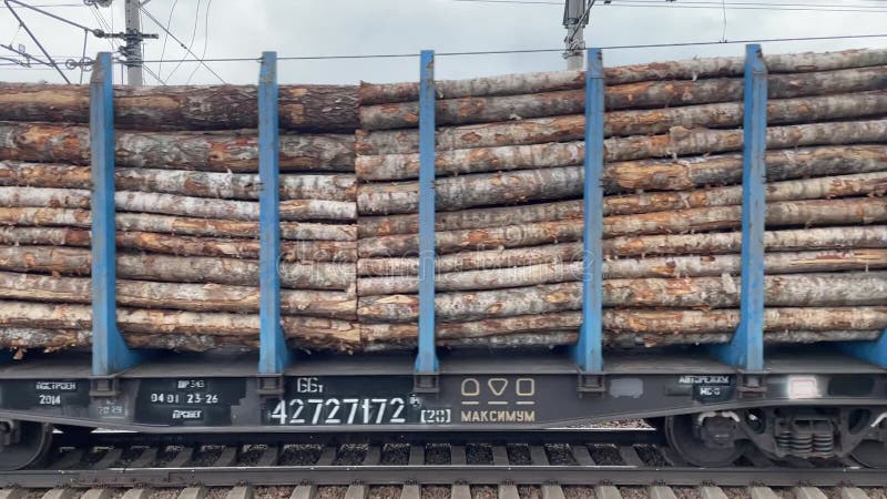 Video of Passing Freight Train with Trees Stock Footage - Video of ...