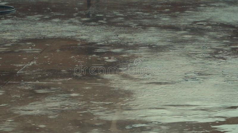 Video of Rain Falling Montage_on the Floor Stock Video - Video of glass ...