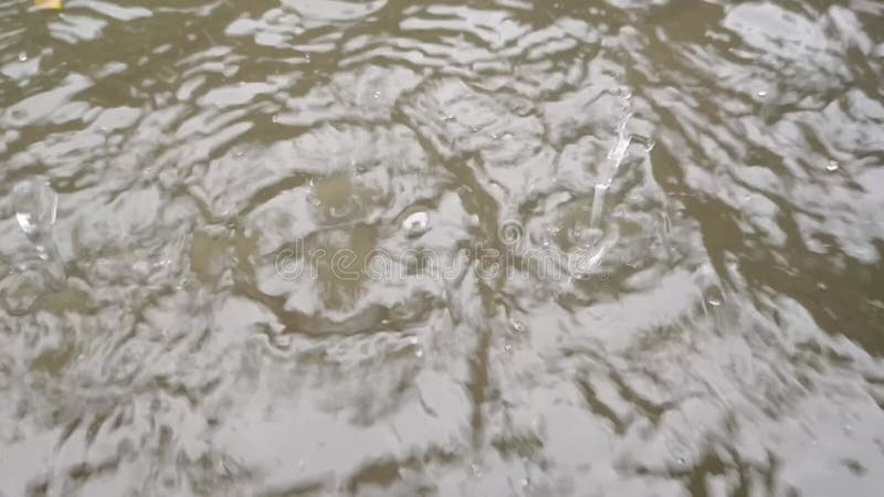 Raindrops fall and splash stock video. Video of transparent - 260933565