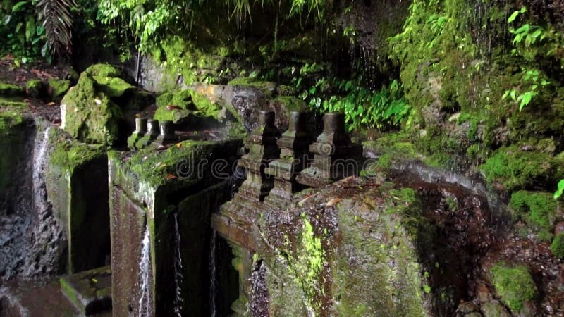 Sharp Rocks with Moss in the Jungle and Drops of Water Falling on ...