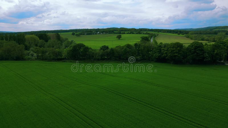 4K Aerial Video of the Fields and Trees in UK Stock Footage - Video of ...