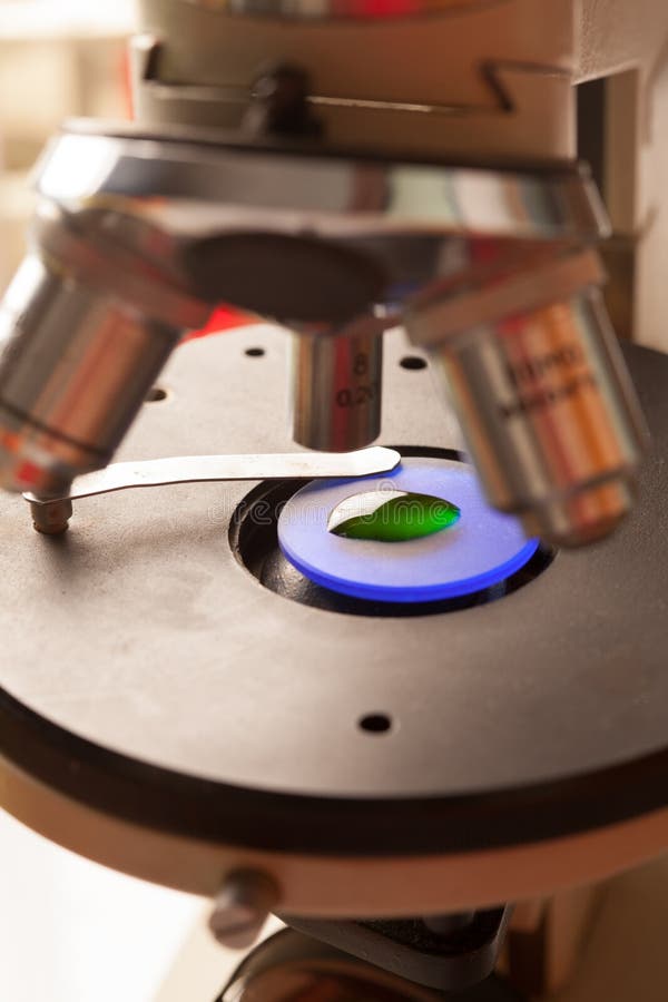 Vidrio del microscopio imagen de archivo. Imagen de microscopio - 46126065