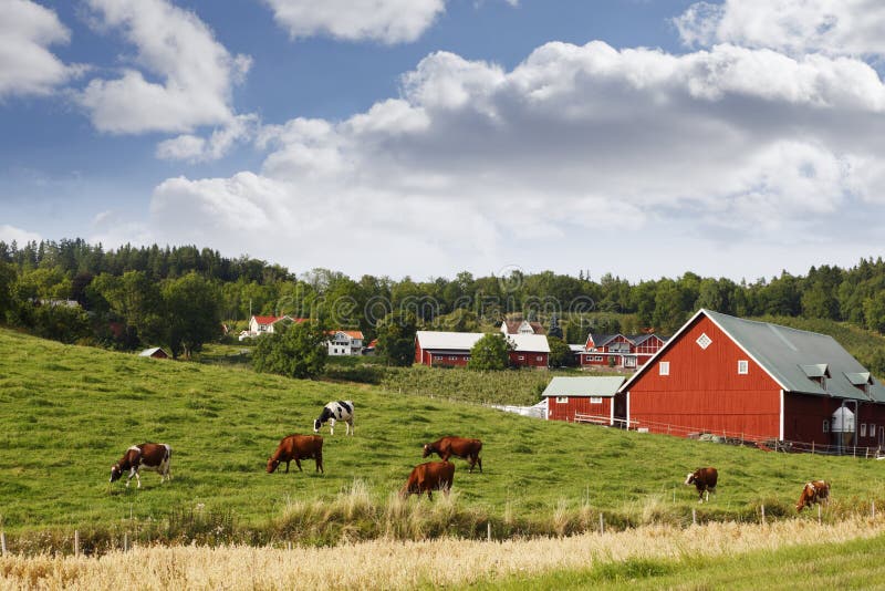 Vieille Ferme Rouge Dans Une Campagne Rurale Photo stock - Image du ...