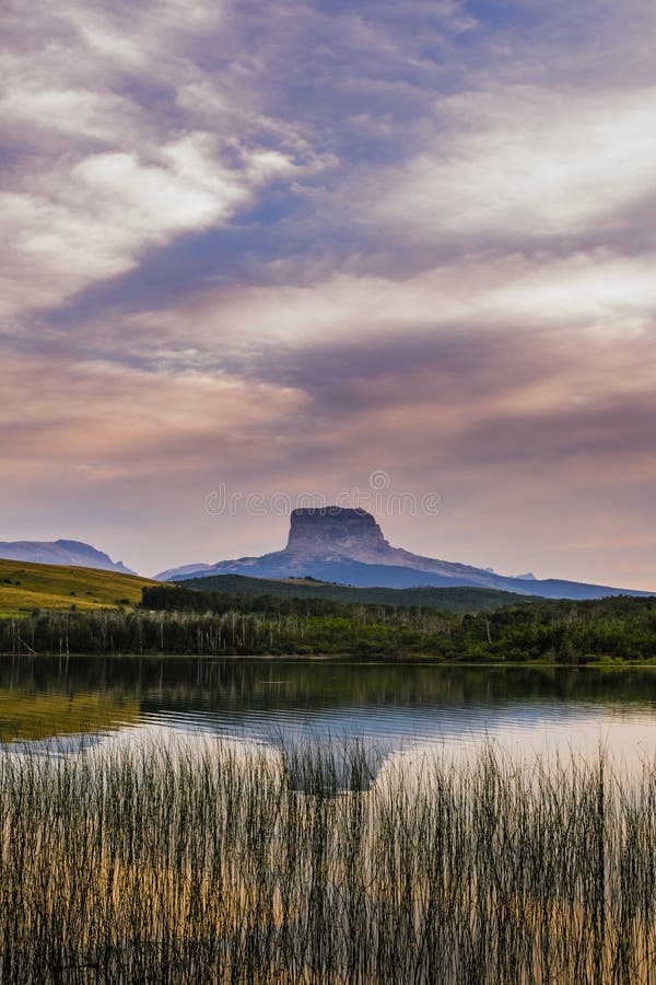 114,178 Photos de Chef's Hat Argos Men - Photos de stock gratuites et ...