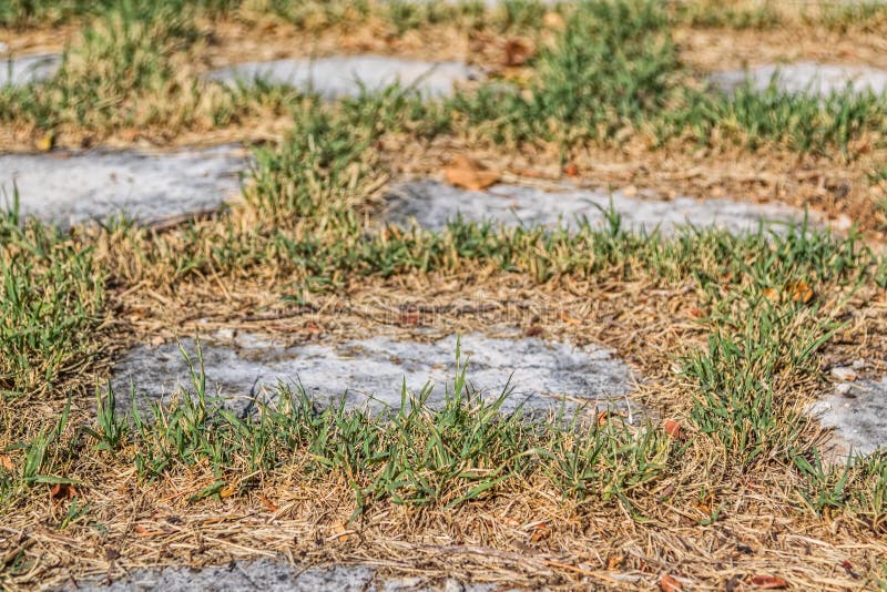 Vieille route en pierre photo stock. Image du croate - 83657760