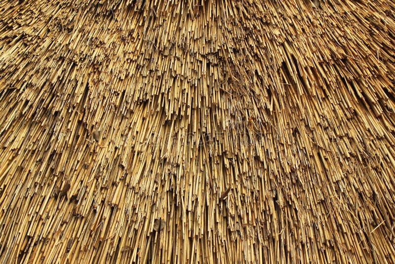 Vieille Texture De Toit Couvert De Chaume Photo stock - Image du âgé ...