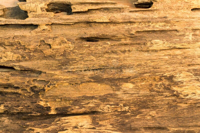 Vieja textura de madera imagen de archivo. Imagen de oscuro - 105479077