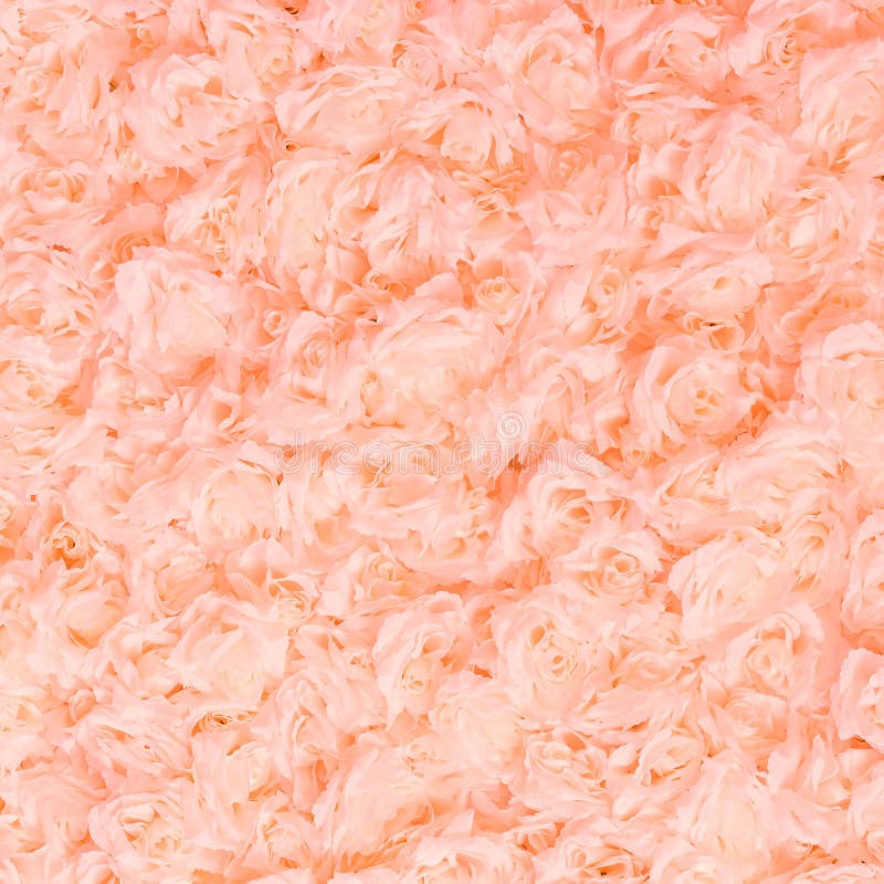 Viejo fondo color de rosa foto de archivo. Imagen de aniversario - 42421378