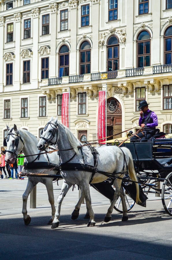 Horses With Cart In Vienna, Austria Editorial Photo - Image of ...