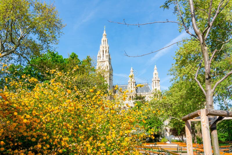 Vienna City Hall in Spring, Austria Stock Photo - Image of cityscape ...