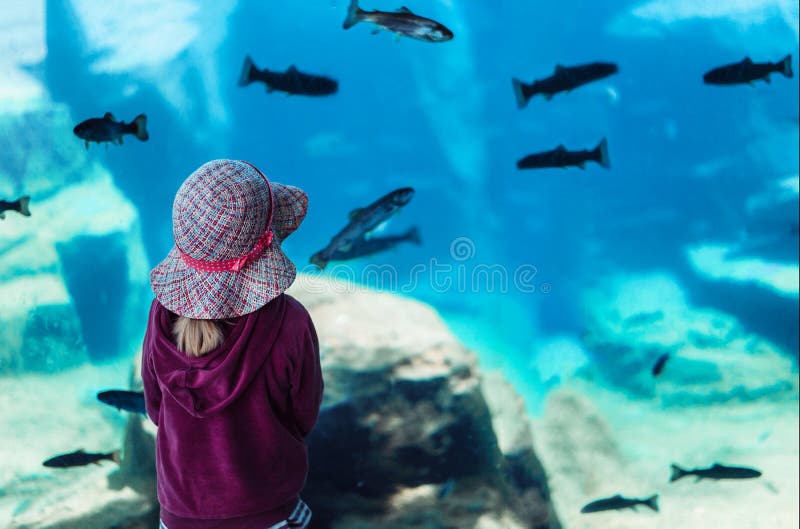 Vienna Zoo Aquarium stock photo. Image of people, biology - 101020292