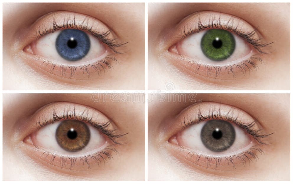 Vier Augen stockfoto. Bild von glanz, makro, grün, blick - 45499742