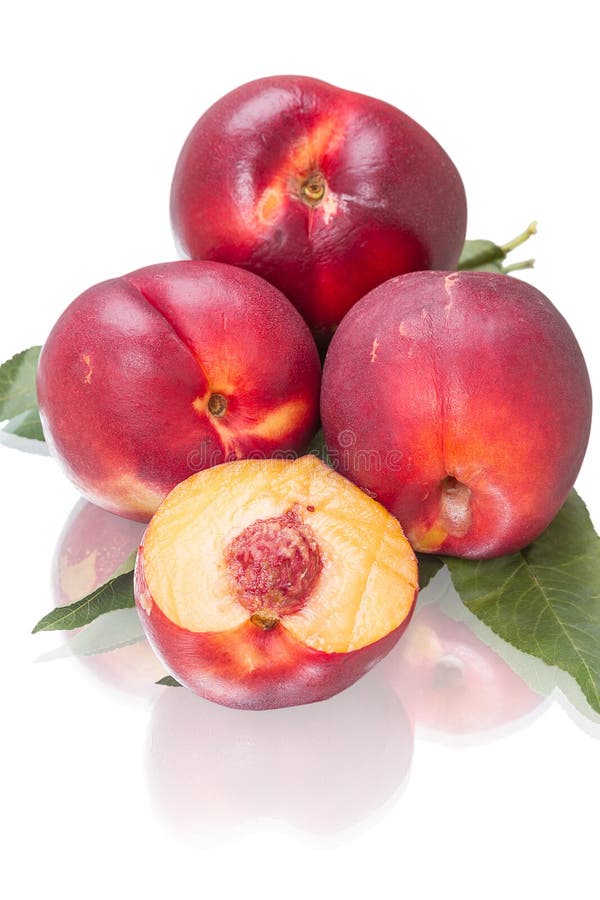 Vier nectarines op wit stock afbeelding. Image of nectarines - 27661347