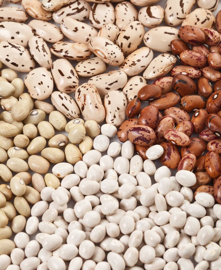 Vier soorten bonen stock foto. Image of roze, vezel, rood - 22847226