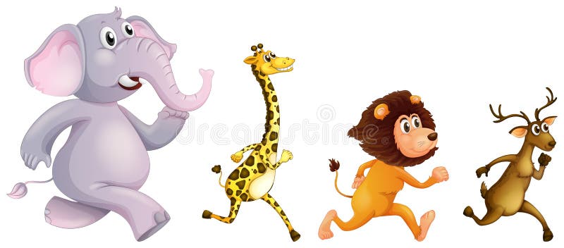 Vier Wilde Dieren Het Lopen Vector Illustratie - Illustration of ...