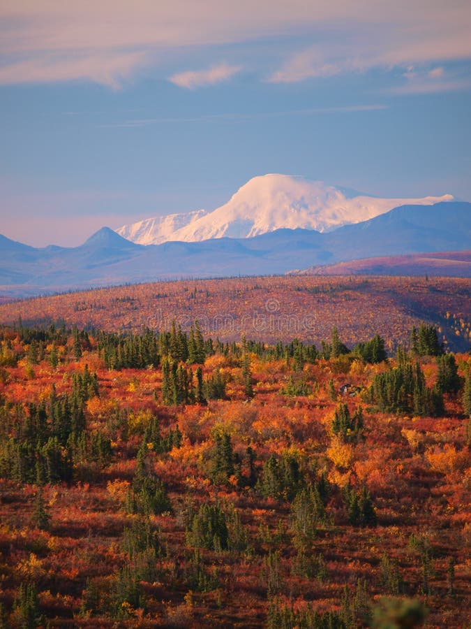 Vierzig-Meilen-Land stockbild. Bild von farben, gipfel - 106112019