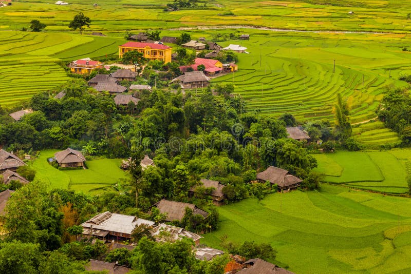 Vietnam stock image. Image of human, rural, land, light - 46739167