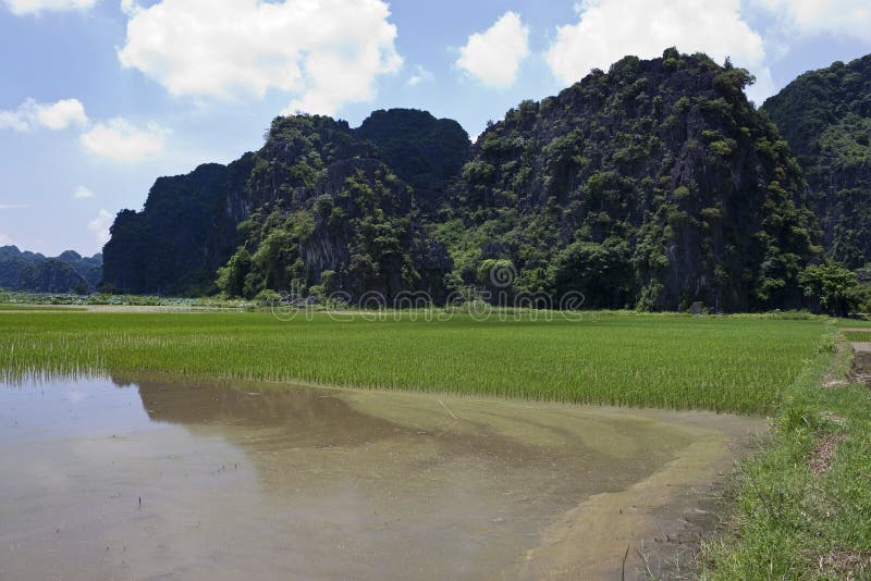 Vietnam Limestone Landscape Stock Photo - Image of outside, valley ...