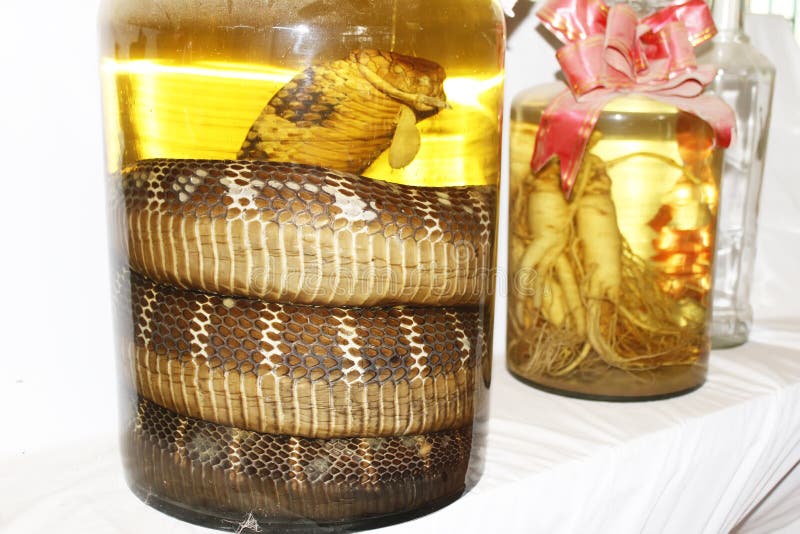 Japan Snake Alcohol