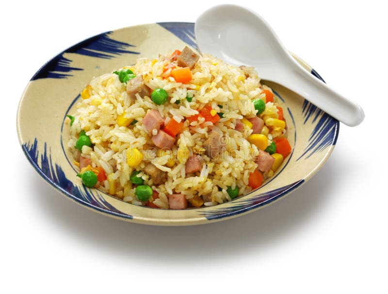 Vietnamese fried rice stock image. Image of roll, dried - 216047005