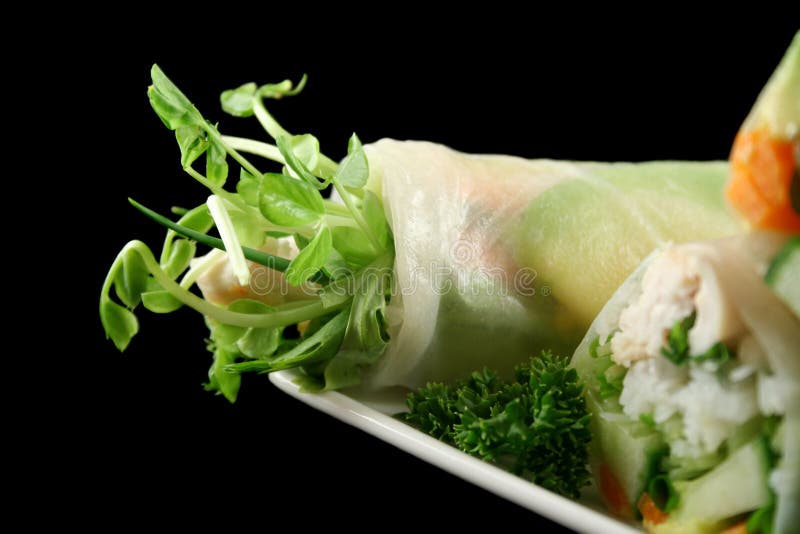 Vietnamese Rice Paper Rolls Stock Image - Image of sprouts, lunch: 9900349