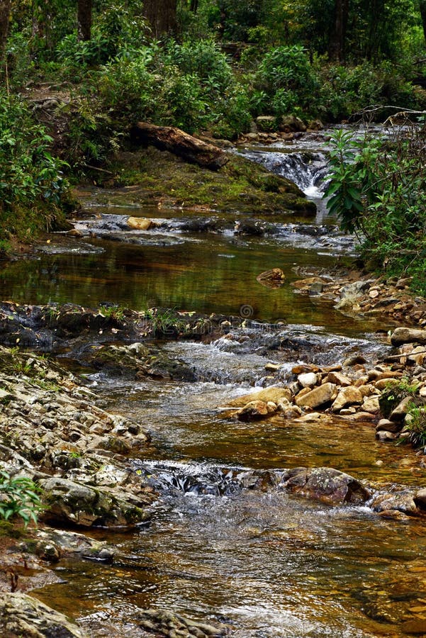 Vietnamese river stock image. Image of stream, wood, nature - 31551291
