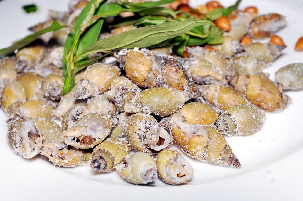 Vietnamese Salted Fried Shells Stock Photo - Image of fisherman, cook ...