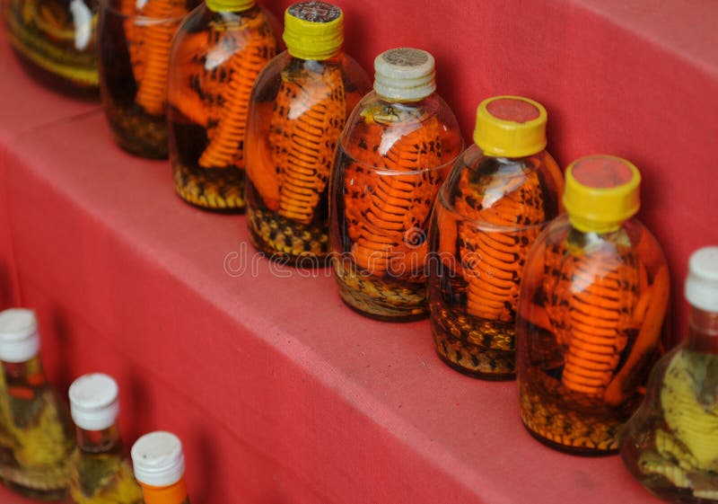 Vietnamese Snake Wine stock photo. Image of snake, snakes - 43444466