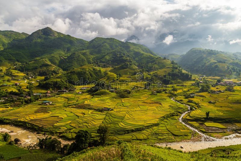 Vietnamese Village In A Rice Field Stock Image - Image of hill ...