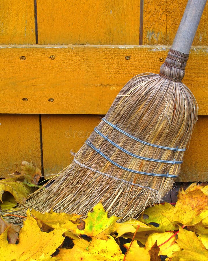 Groupe de balai image stock. Image du bouleau, outil, patrimoine - 6990405
