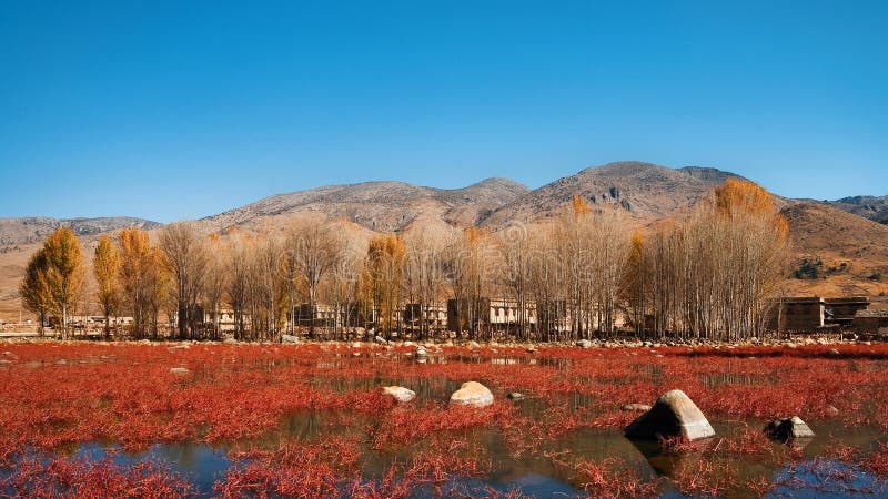 View stock photo. Image of brown, bright, environment - 11889962