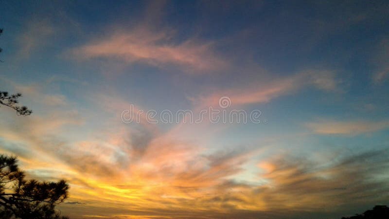 View stock photo. Image of morning, nature, view, natural - 142159174