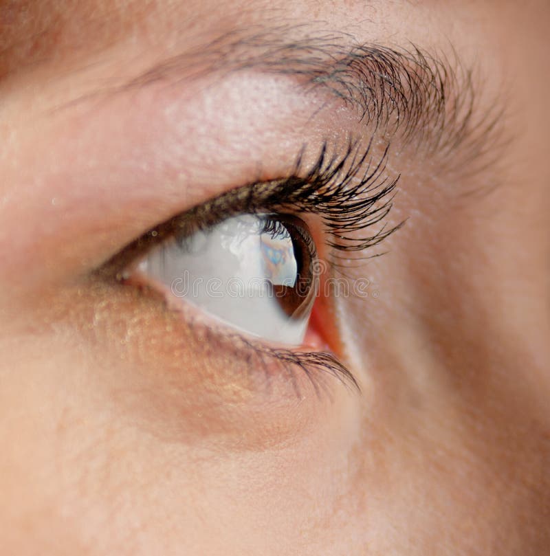 View stock photo. Image of caucasian, lens, health, ophthalmology ...